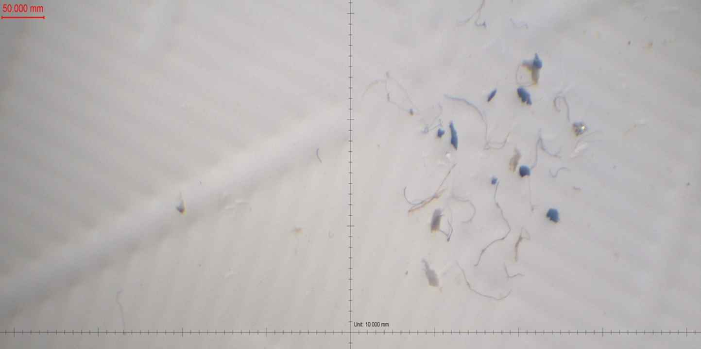Methods for Sampling and Analysis of Microplastics in Aquatic Environment - 3SIP2C